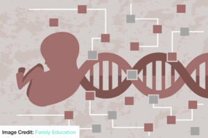Maternal Cell Contamination In Prenatal Genetic Testing – Genetic Education