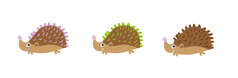 What is a Sonic Hedgehog (SHH) gene? – Genetic Education
