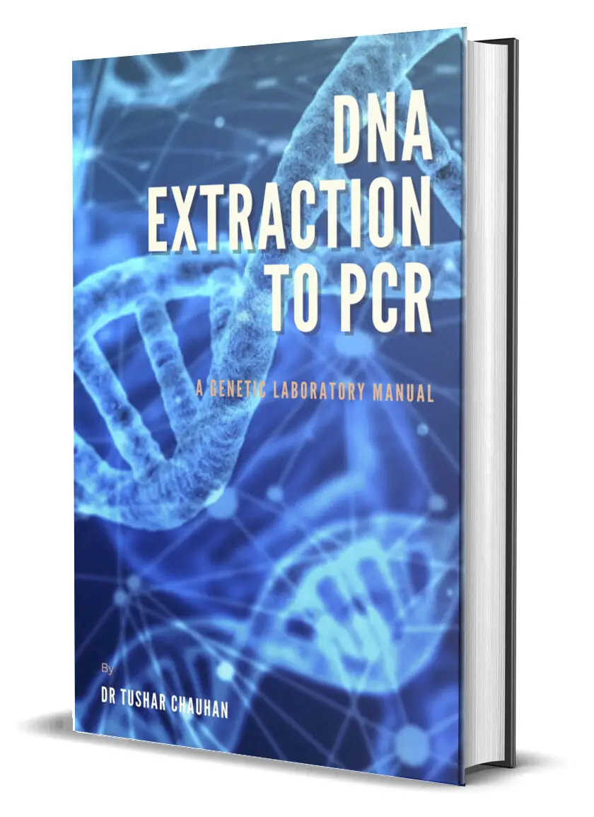 Differences between PCR vs qPCR – Genetic Education