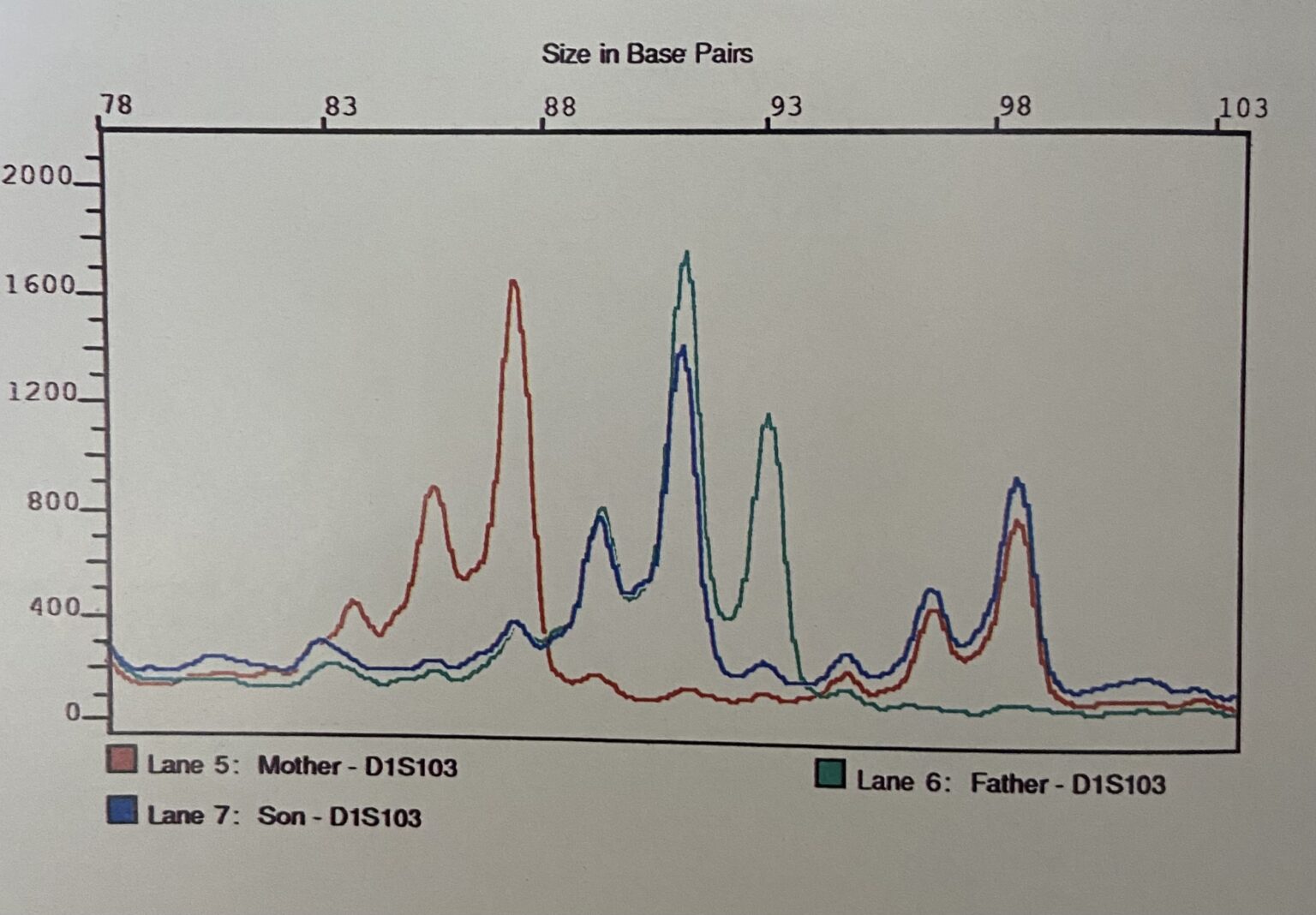 What is Electropherogram? How to Read it? – Genetic Education