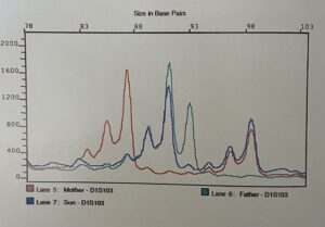 What is Electropherogram? How to Read it? – Genetic Education