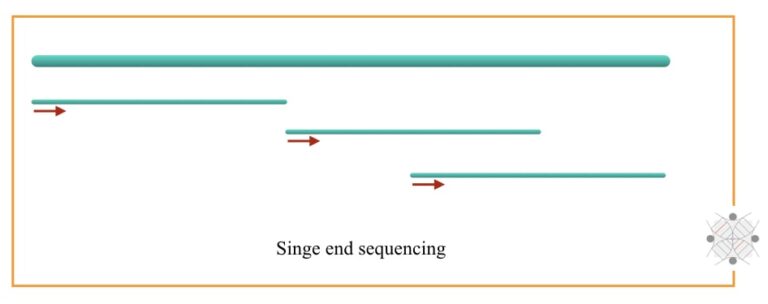 What is 'Sequencing Read' in NGS? – Genetic Education