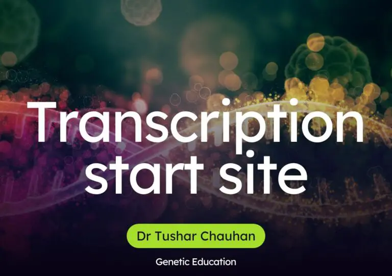 What is the transcription start site? How to find it? – Genetic Education