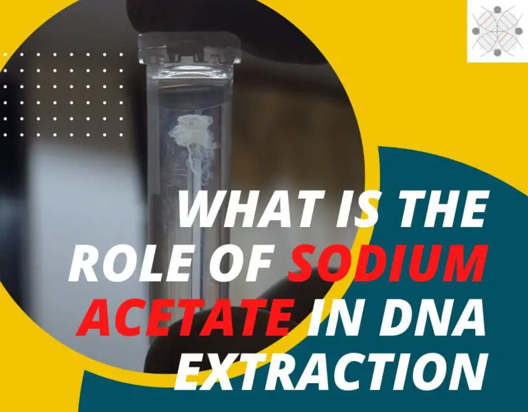 What is the Role of Sodium Acetate (NaAc) in DNA Extraction? – Genetic Education