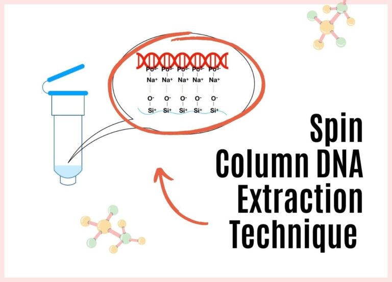 Advantages And Limitations Of Spin Column Dna Extraction Technique