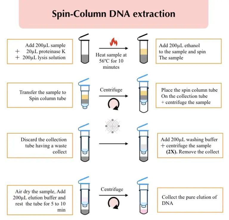 Advantages And Limitations Of Spin Column Dna Extraction Technique