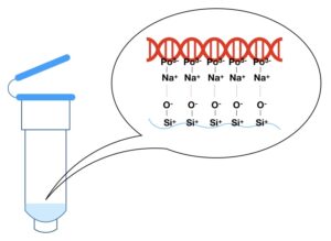 Advantages and Limitations of Spin Column DNA Extraction Technique ...
