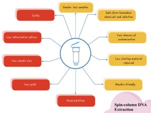 Comparison Between Manual vs Spin Column vs Automated DNA Extraction ...