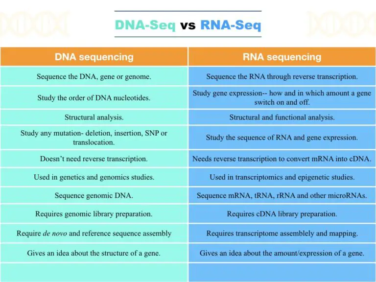 Differences Between DNA-Seq vs RNA-Seq – Genetic Education