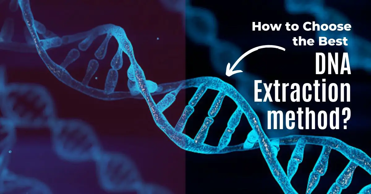 How to Choose the Right DNA Extraction Method?- Beginner's Guide ...