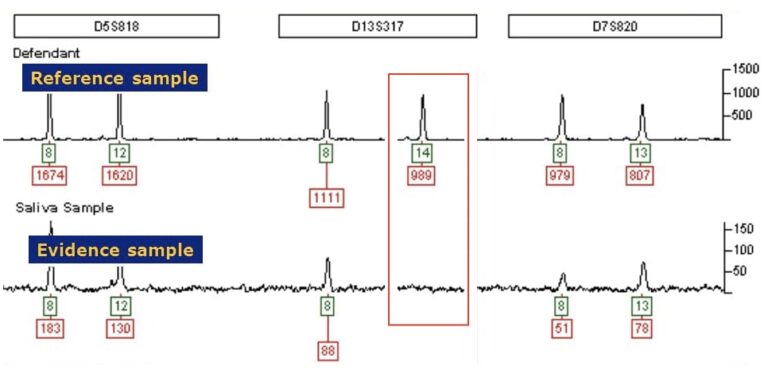 PCR Troubleshooting 102: How to Address The Allelic Dropout – Genetic ...