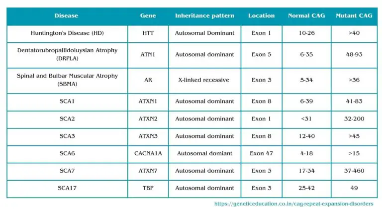 Trinucleotide Repeat Expansion Disorders 102: CAG Repeat Expansion Disorders – Genetic Education