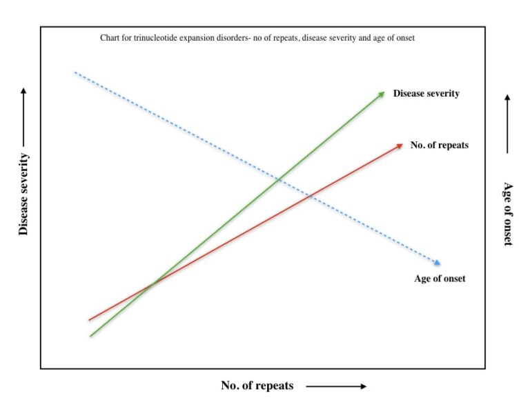 Trinucleotide repeat expansion disorders