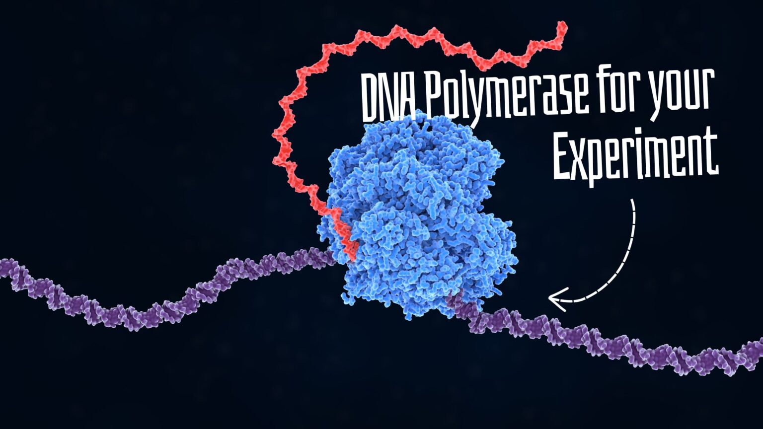 A Guide to Choose DNA Polymerase for Your Experiment
