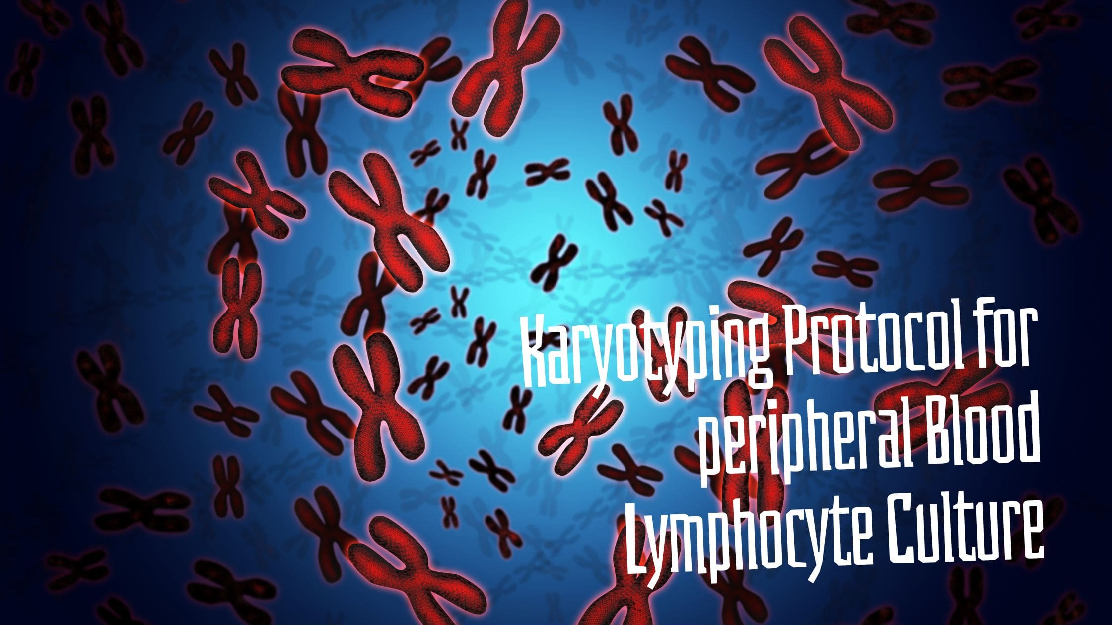 Standardized Karyotyping Protocol for Peripheral Blood Lymphocyte ...