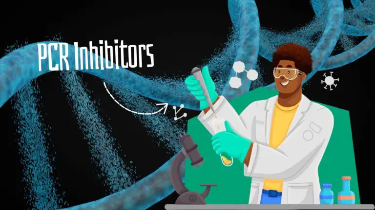 What are PCR Inhibitors and How to Remove Them?