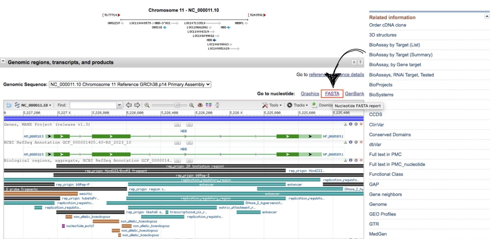 How To Choose A Restriction Enzyme?- Step-by-step Demonstration ...