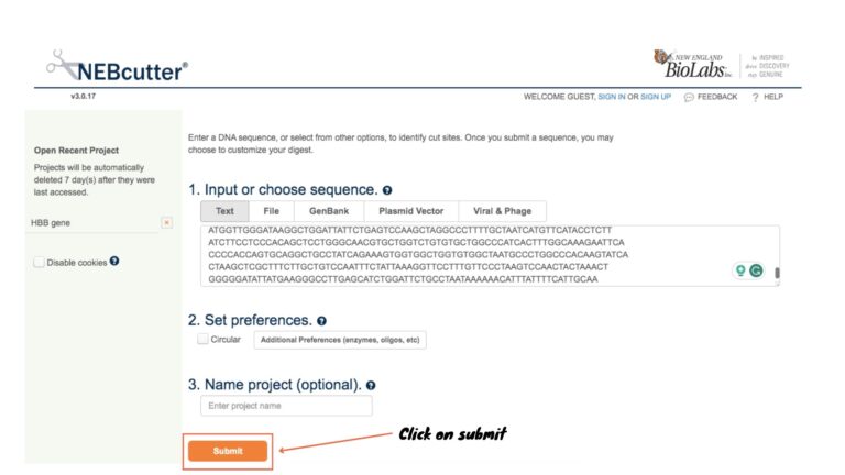 How To Choose A Restriction Enzyme?- Step-by-step Demonstration ...