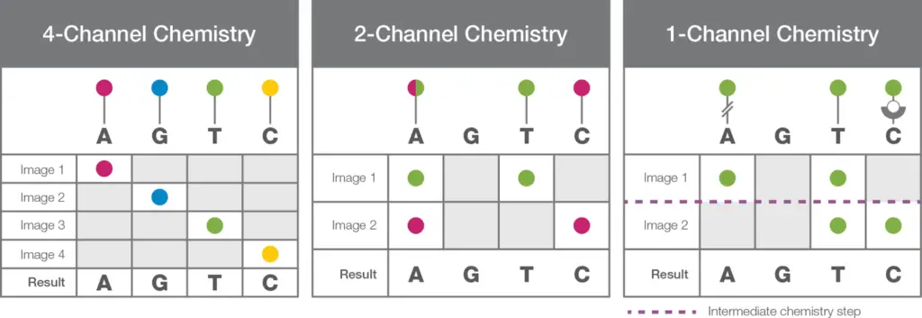 What is Sequencing by Synthesis?- Principle, Chemistry and Steps ...
