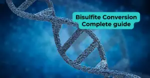 Bisulfite Conversion of DNA- A Complete Guide – Genetic Education