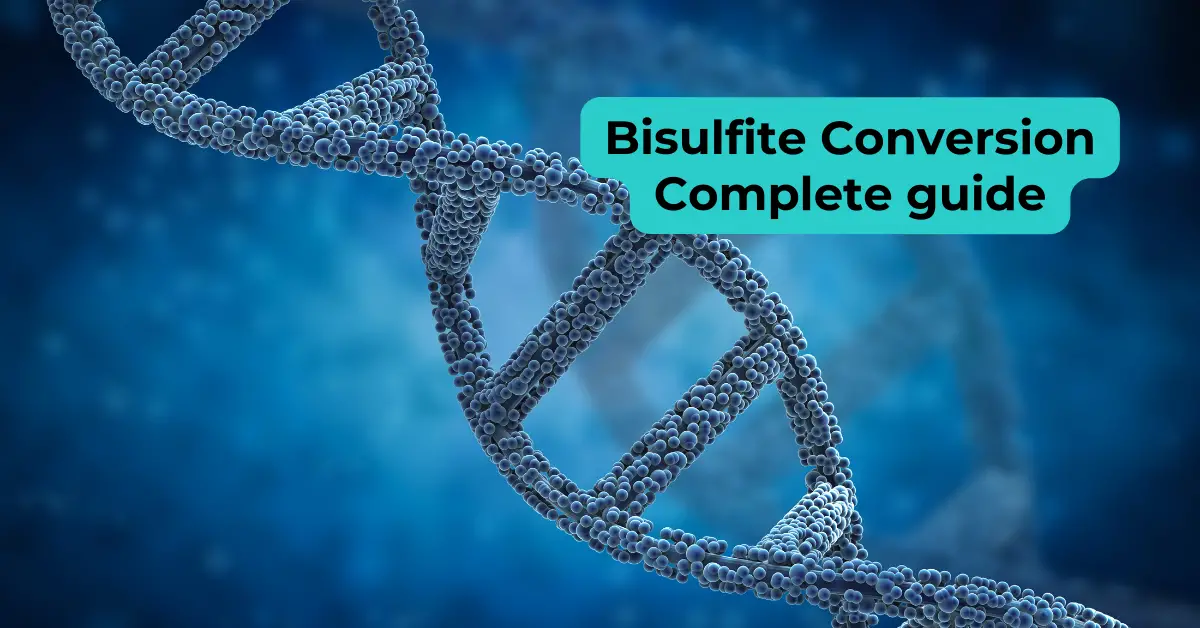 Bisulfite Conversion of DNA- A Complete Guide – Genetic Education