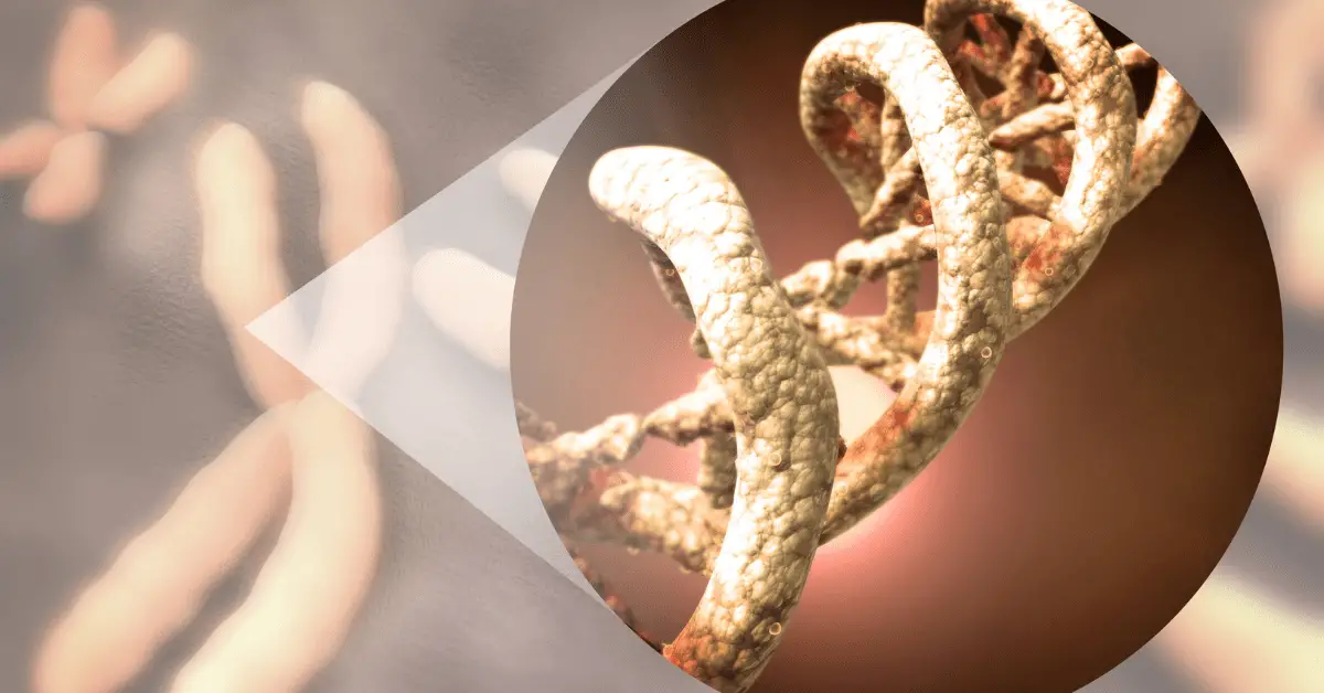 How to Find Information about a Gene of Interest? – Genetic Education