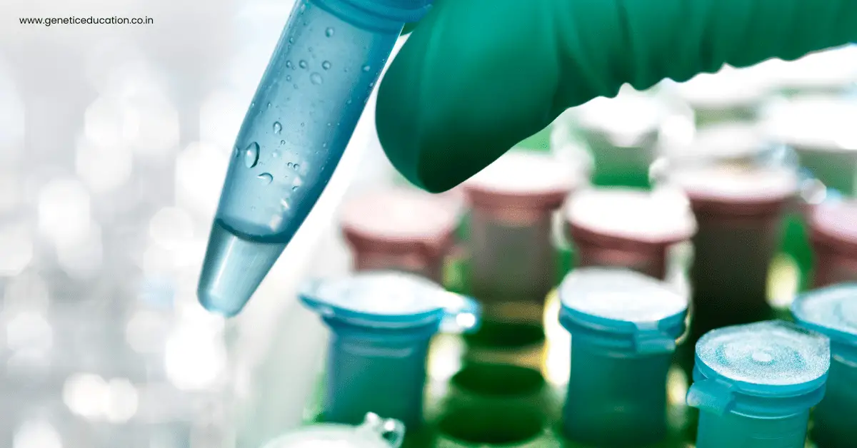 How to Order, Store and Use PCR Primers? – Genetic Education