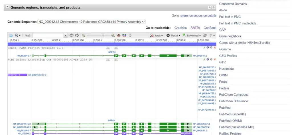 8 Ways A Fasta File Can Be Used In Genetics Genetic Education