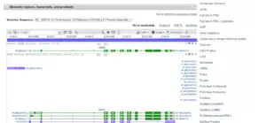 8 Ways a FASTA File Can be Used in Genetics – Genetic Education