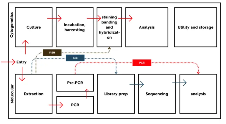 Genetic Lab Tour 101: Departments, Workflow and Testing – Genetic Education