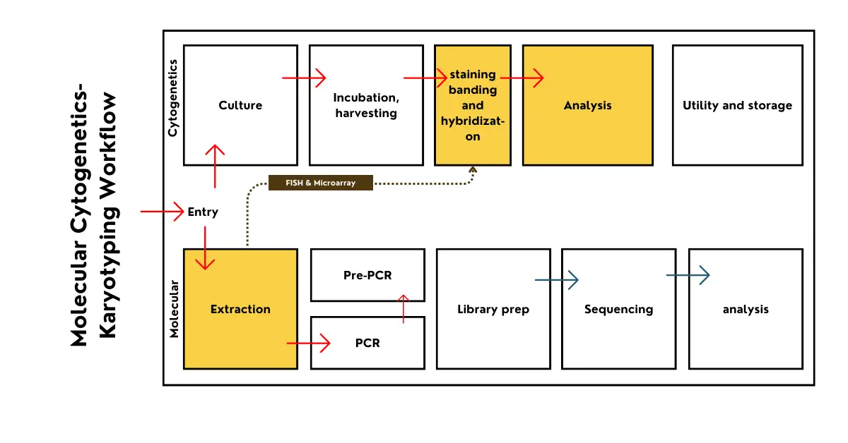 Genetic Lab Tour 101: Departments, Workflow and Testing – Genetic Education