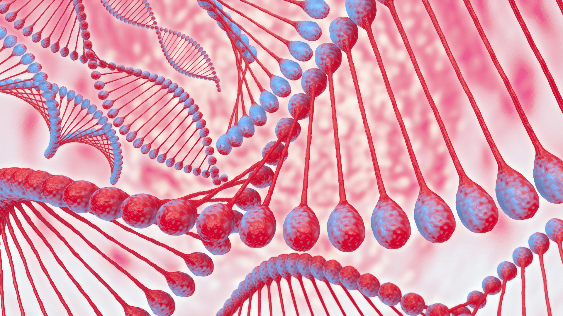 How does Fluorescent Labeling Influence Sequencing Speed in NGS ...