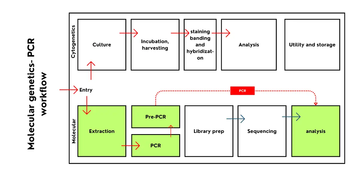 Genetic Lab Tour 101: Departments, Workflow and Testing – Genetic Education