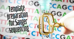Template preparation for Sanger sequencing- A step-by-step Guide ...