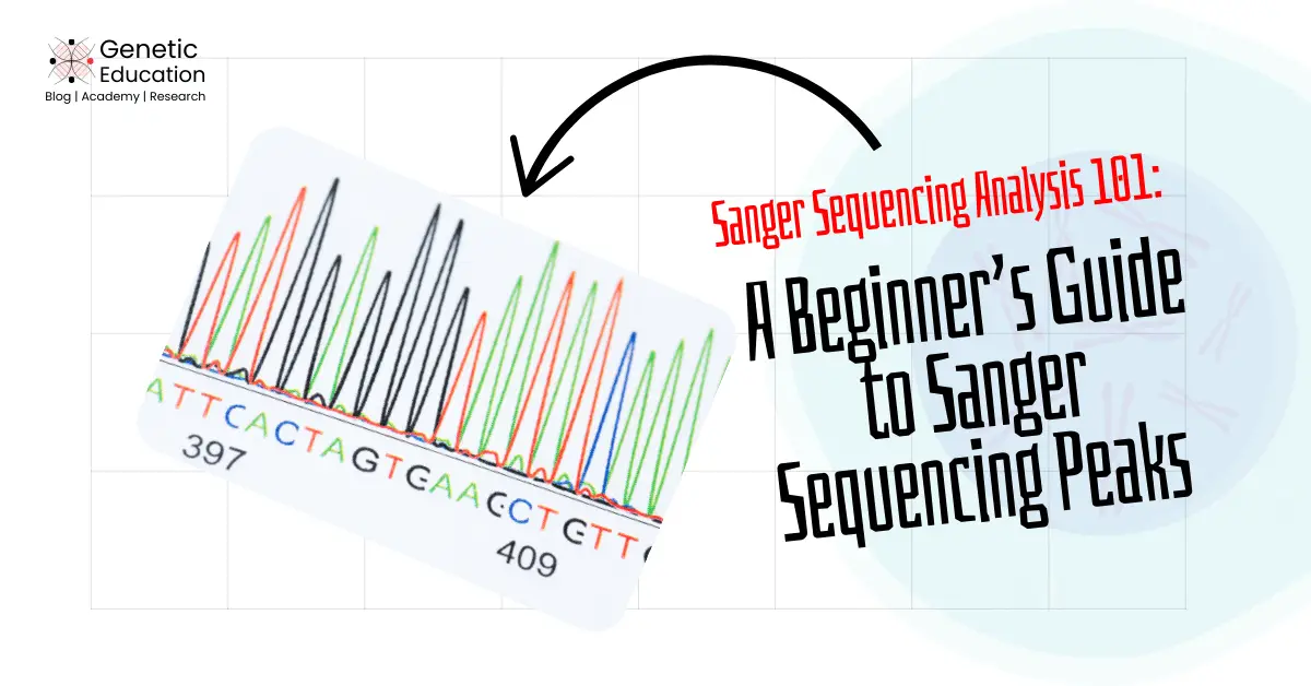 A Beginner’s Guide to Sanger Sequencing Peaks – Genetic Education