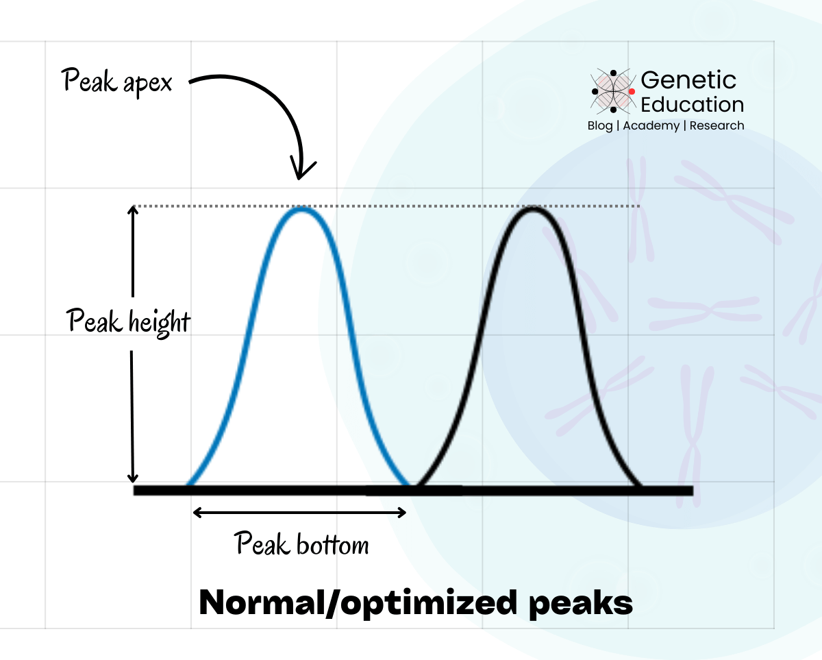 A Beginner’s Guide to Sanger Sequencing Peaks – Genetic Education