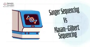 Maxam Gilbert sequencing Archives – Genetic Education
