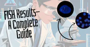 FISH Results and Analysis- A Complete Guide – Genetic Education