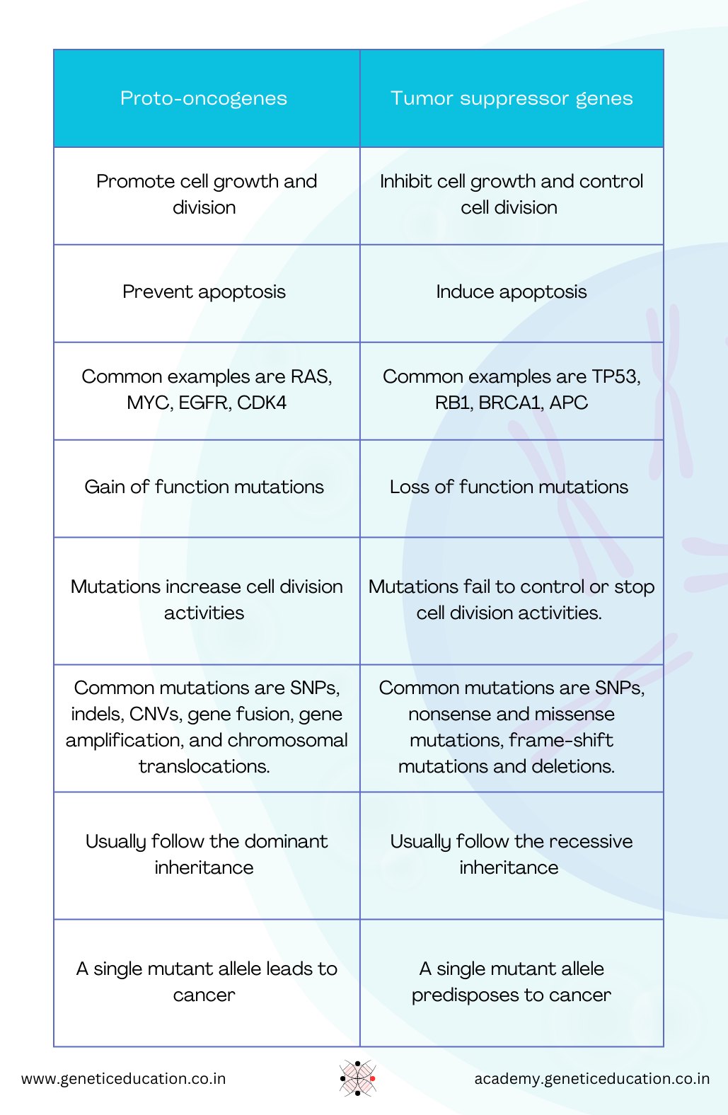 Proto-oncogenes vs Tumor Suppressor Genes- Key Differences – Genetic Education