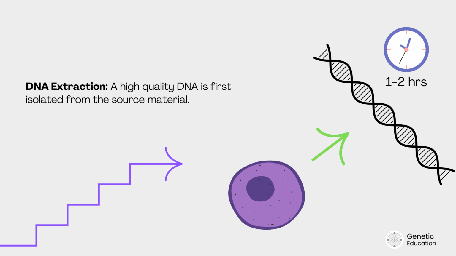 What is NGS?- Definition, Principle, Steps, Chemistries, Advantages and ...