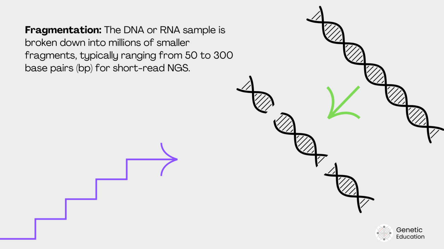 What Is Ngs Definition Principle Steps Chemistries Advantages And Limitations Genetic