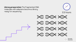 What is NGS?- Definition, Principle, Steps, Chemistries, Advantages and ...