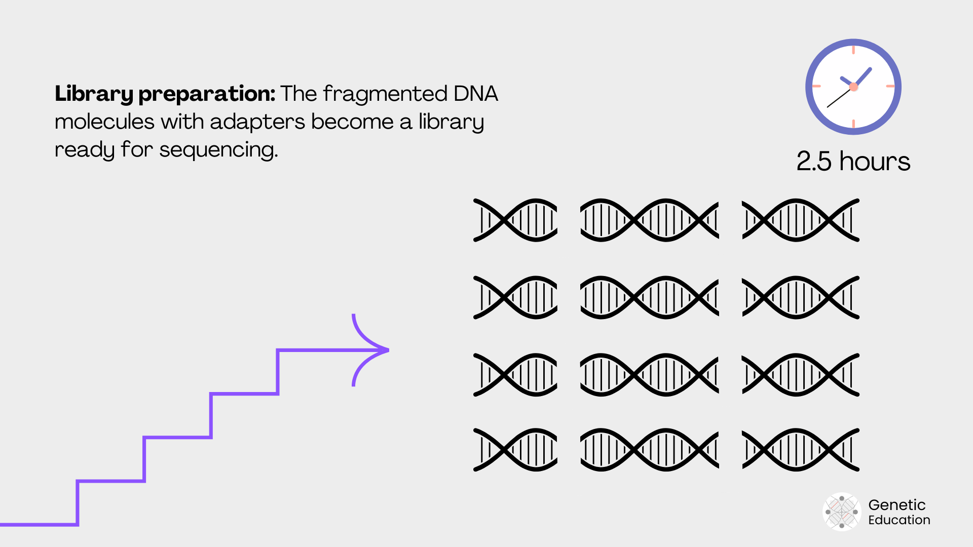 What Is Ngs Definition Principle Steps Chemistries Advantages And Limitations Genetic