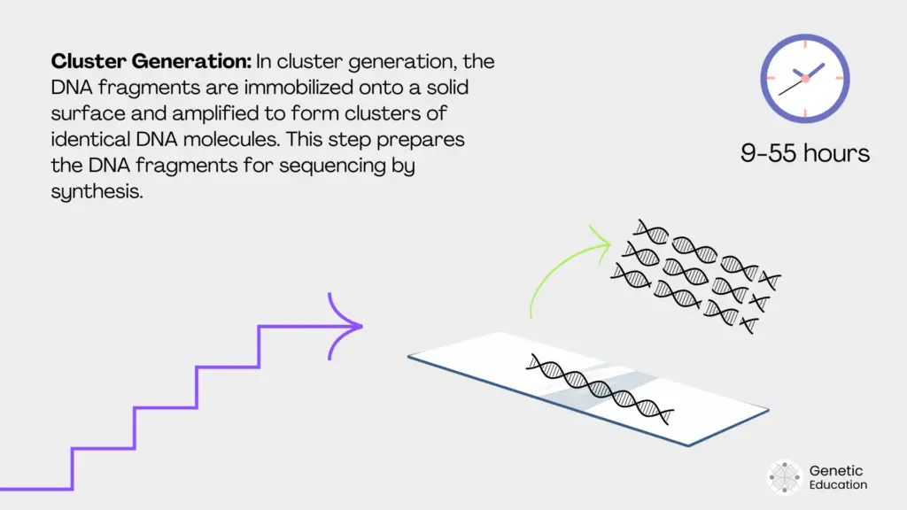 What is NGS?- Definition, Principle, Steps, Chemistries, Advantages and Limitations – Genetic ...