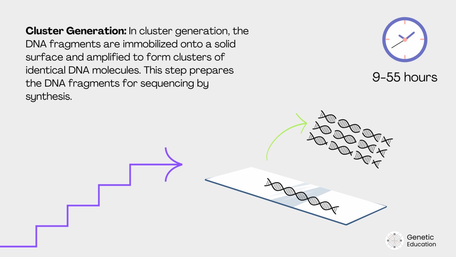What is NGS?- Definition, Principle, Steps, Chemistries, Advantages and ...