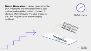 What is NGS?- Definition, Principle, Steps, Chemistries, Advantages and ...