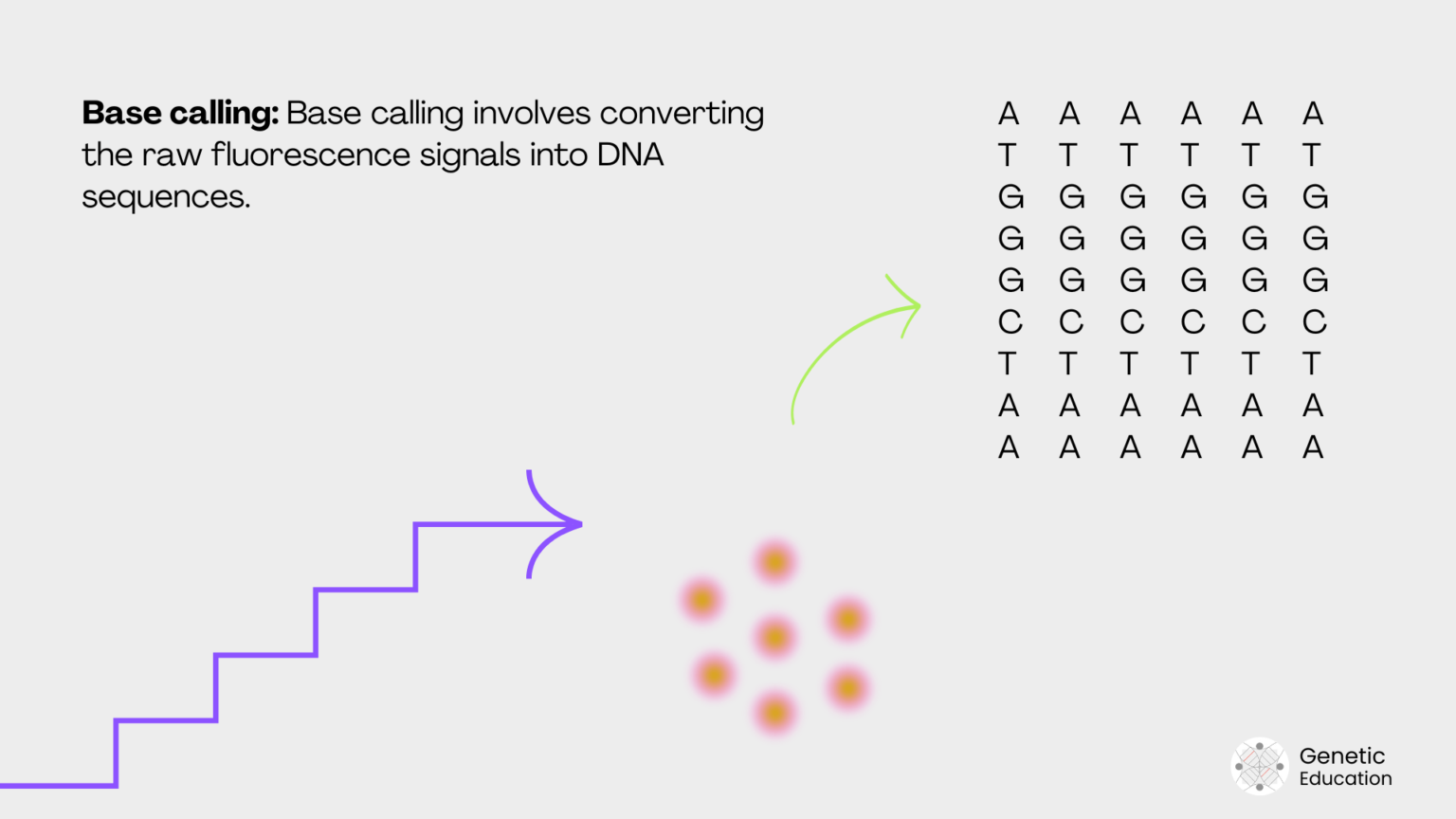 What is NGS?- Definition, Principle, Steps, Chemistries, Advantages and ...