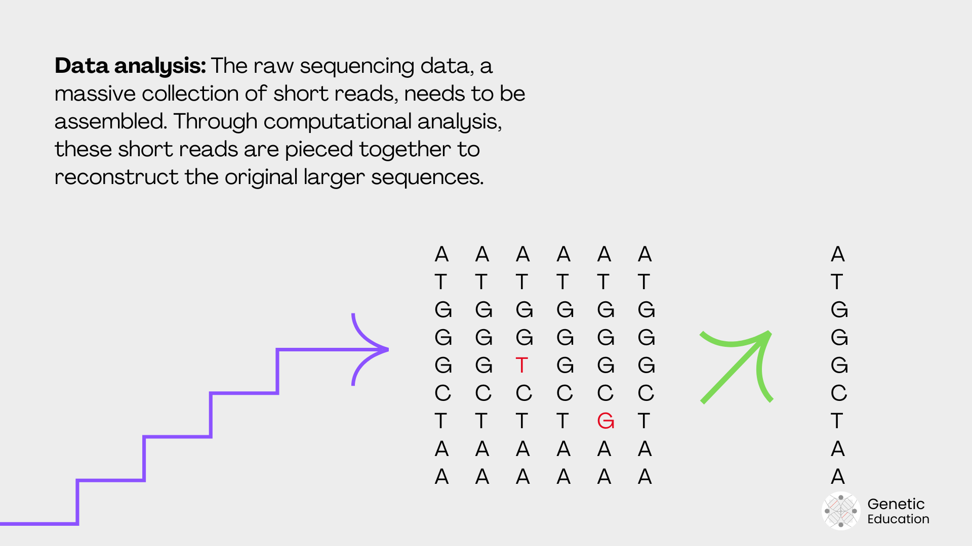 What is NGS?- Definition, Principle, Steps, Chemistries, Advantages and ...