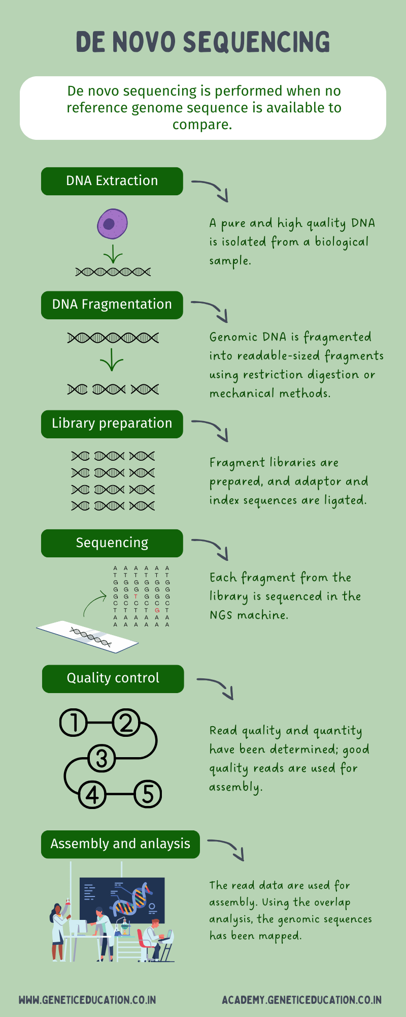 De Novo Sequencing: Steps, Procedure, Advantages, Limitations and Applications – Genetic Education