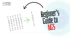 What is NGS?- Definition, Principle, Steps, Chemistries, Advantages and ...
